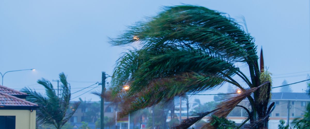 Storm Damage Insurance Adjuster | Public Adjuster For Storm Damage